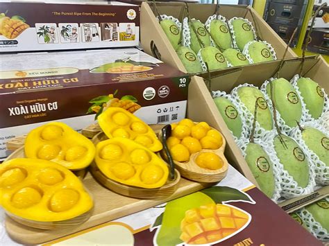 Packaging Seu Mango Bao BÌ XoÀi SẾu Mango Behance