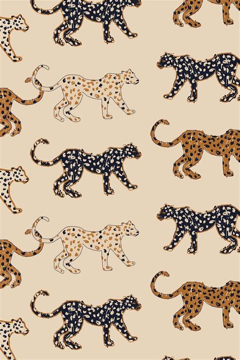 Cheetah Aesthetic Wallpapers Top Free Cheetah Aesthetic Backgrounds