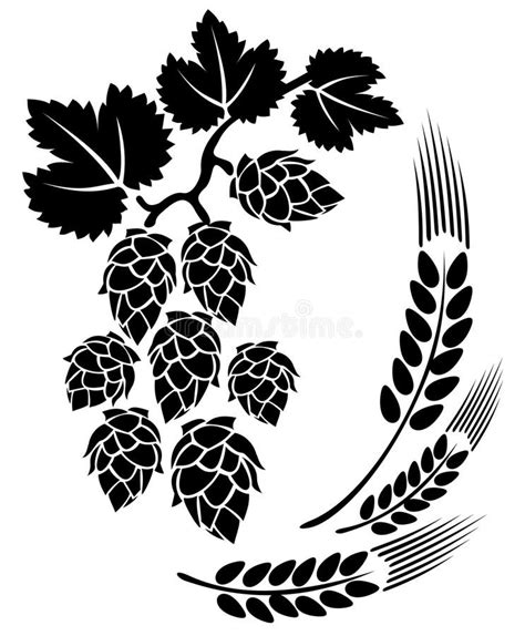 Hops Stock Vector Illustration Of Decoration Design 26688781