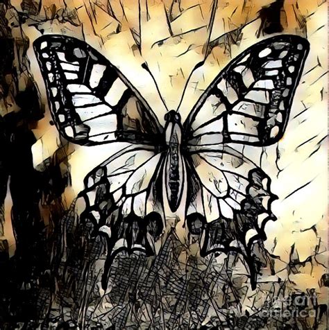 Black Butterfly Mixed Media By Rogue Art Fine Art America