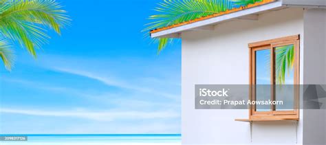 아름 다운 푸른 여름 바다 전망 파노라마 배경에 코코넛 나무 가지가 있는 해변에 미니 화이트 스트리트 커피 키오스크의 일부 0명에 대한 스톡 사진 및 기타 이미지 Istock