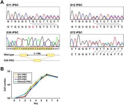 Gorlin Syndrome Induced Pluripotent Stem Cells Form Medulloblastoma With Loss Of Heterozygosity