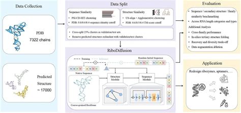 Cracking The Rna Inverse Folding Puzzle With Ribodiffusions Generative Diffusion Approach Cbirt