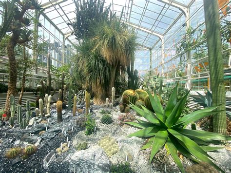 Botanical Gardens In Zurich With Free Admission In 2026 Newly Swissed