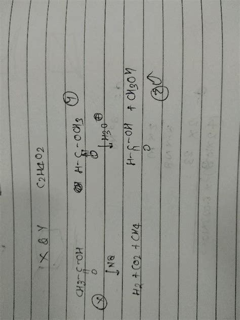 28 Two Compounds Xand Y Have The Same Formula C2h4o2 One Of Them