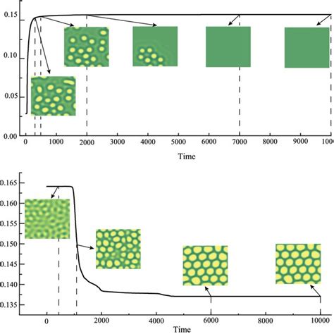 Schematic Diagram Of Different Types Of Pattern Structures Over Time A Download Scientific