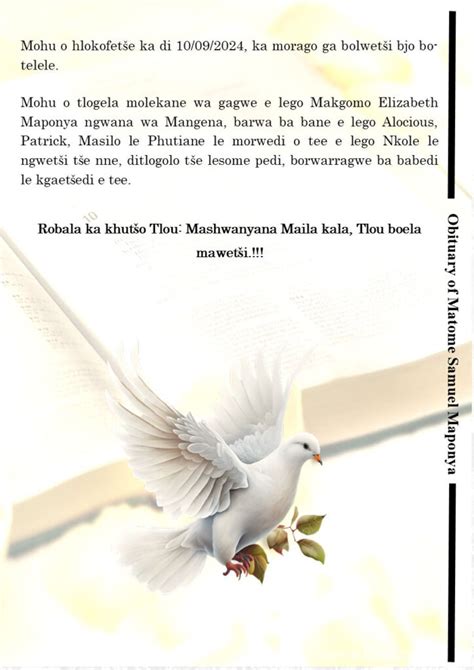 Matome Samuel Maponya Two Mountains