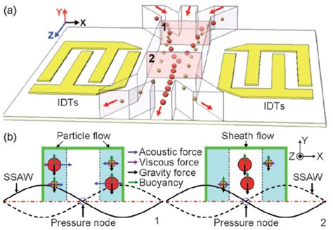 A Schematic Of The Separation Mechanism Showing Particles Beginning Download Scientific