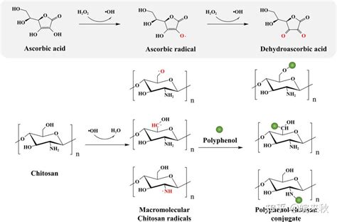 茶多酚与减肥二三事 知乎