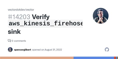 Verify `awskinesisfirehose` Sink · Issue 14203 · Vectordotdevvector