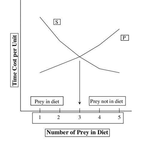 The Diet Breadth Model After Macarthur And Pianka 1966 Showing The