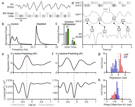 Delta Oscillations Define Two SNr Populations Which Both Lead Download Scientific Diagram