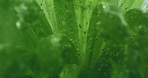 Lg X Fosters And Partners On Behance