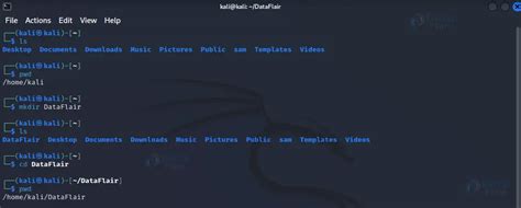 kali linux basic commands dataflair