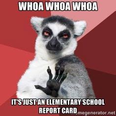 14 Report Card Funny Ideas Funny Bones Funny Humor