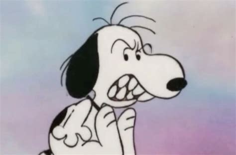 Pin De 𝓜 En •｡ꪆৎ˚• Imágenes De Snoopy Snoopy De Los Peanuts Snoopy