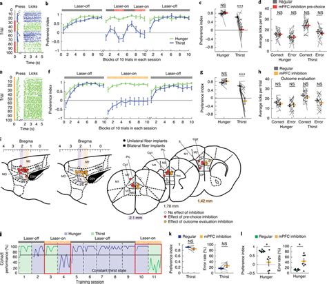 The Mpfc Is Required For Evaluating Actionoutcome Relationships To