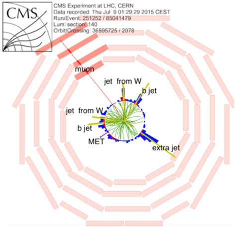 Cms Experiment — Physics And Astronomy Augusto Righi” Difa