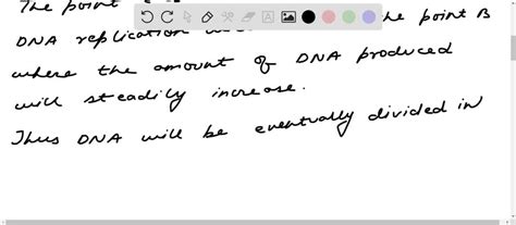 Solved Below Is A Diagram Of A Morphogen Gradient In An Early Embryo The Arrows In The