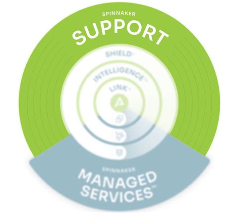 Enterprise Software Third Party Support And Managed Services