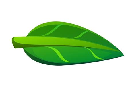 Leaf Animation Vector Art Icons And Graphics For Free Download