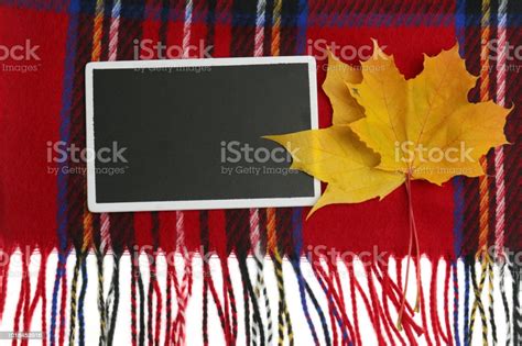 가empty 칠판 흰색 배경에 고립 된 빨간 체크 무늬 스카프에 단풍 잎 보기 상위 공간을 복사 합니다 가 분위기 0명에 대한 스톡 사진 및 기타 이미지 Istock