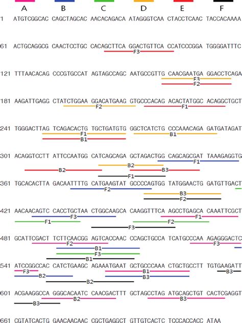 The Locations And Sequences Of Pvx Cp Primers Used For Rt Lamp Pcr