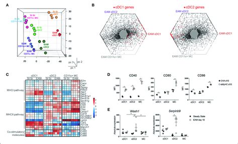 Expression Profiling Of Cardiac APCs By RNA Sequencing A Front