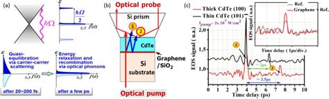 Thz Interband Amplification In Graphene A Time Evolution Of The Download Scientific Diagram