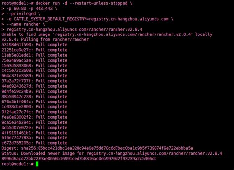 如何使用国内资源安装 Rancher 权威教程 Rancher 中文论坛