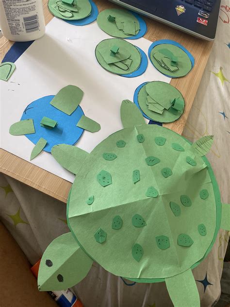Turtle 🐢 Army R Ageregression