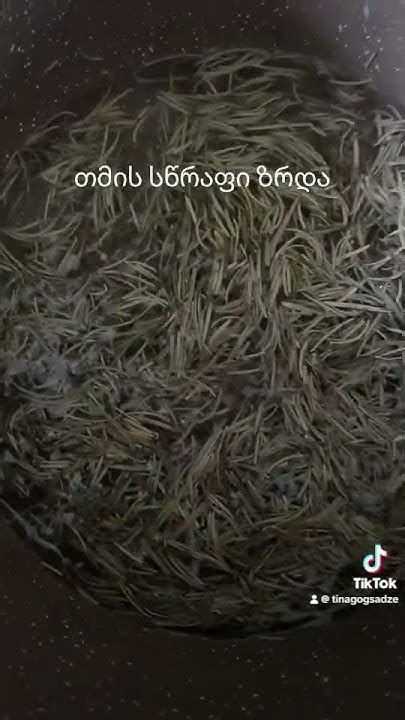 თმის სწრაფი ზრდა როზმარინი Youtube