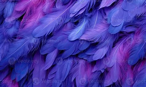 Feathers Soft Background Purple Bird Feathers Created With Tools