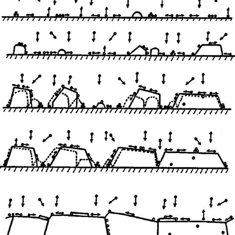 Pdf Microstructural Evolution During Film Growth
