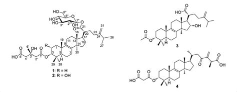 Chemical Structures Of Compounds 1 4 Download Scientific Diagram