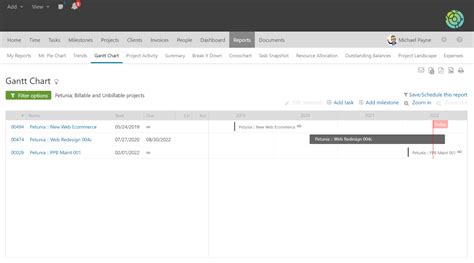 Project Portfolio View Via Gantt Chart Intervals Help Site