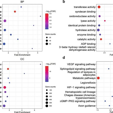 Functional Enrichment Analysis Of Differentially Expressed Download Scientific Diagram