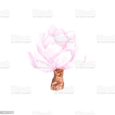 흰색 배경에 즙이 많은 식물 손으로 그린 수채화 식물의 섬세한 그림입니다 스크랩북 디자인 요소 타이포그래피 포스터 카드 라벨