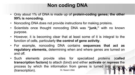 Gene Basics Gene Nature Of Gene Regulatory Elements Of Gene Non Coding Dna Alleles Pptx