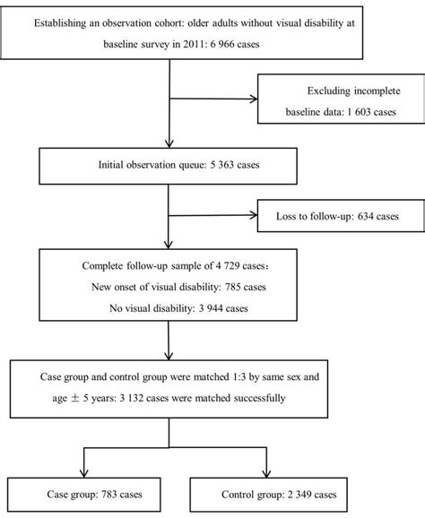 Article Recommendation Of The Week Visual Disability In China Mike Lawrey Posted On The Topic