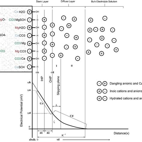 Schematic Model Of Electrostatic Charge Distribution Around The Charged Download Scientific