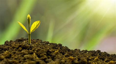 How Uk Businesses Are Embracing Sustainability From Life Cycle