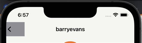 Swift Navigationbar Item To Edge Of Screen Stack Overflow