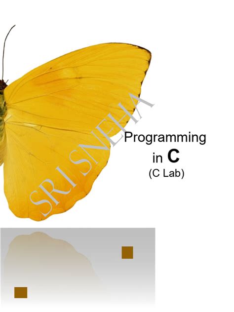 Cs Programming In C Record Pdf Integer Computer Science Filename