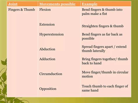 Exercise And Range Of Motion Exercise Pptx