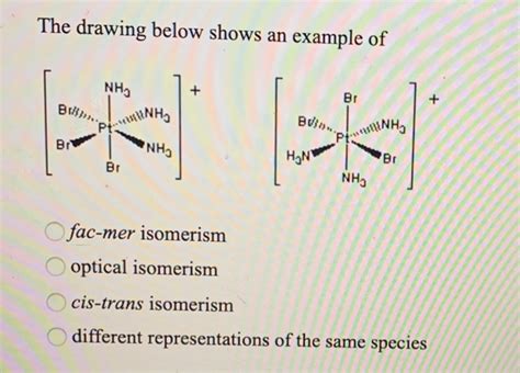 Solved Decide If The 3d Model Represents A Cis Solved Decide If The 3d Model Represents A Cis