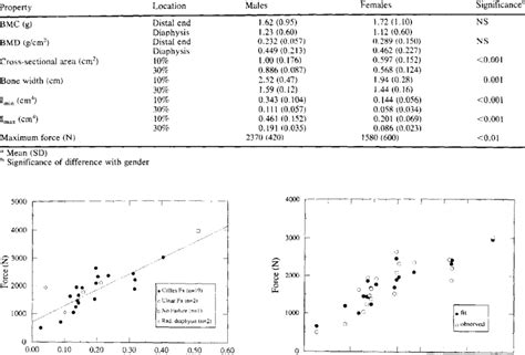 Properties Of The Radius In Males And Females Download Table