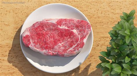 Meat Slice Frozen 3d Model 29 3ds Blend C4d Fbx Max Ma Lxo