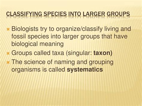 Ppt Chapter 18 Classification Powerpoint Presentation Free Download Id1434268