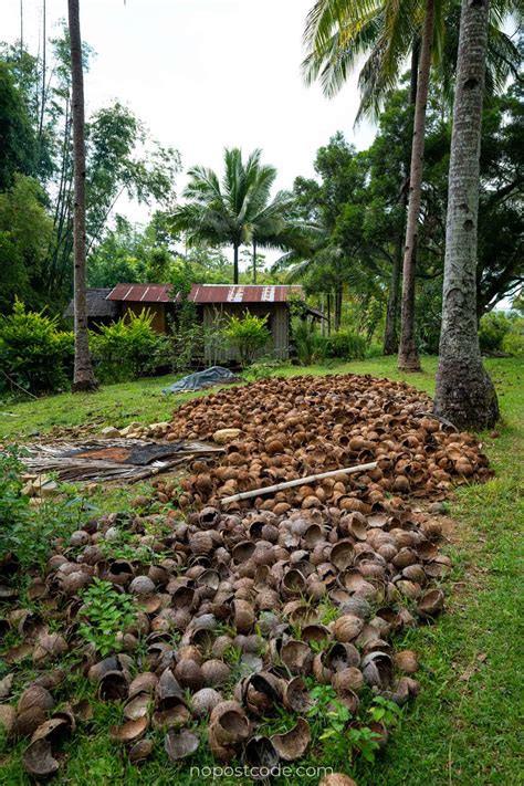 Naibid Falls Cascading Waterfall In Amlan Negros Oriental 2022 Ultimate Travel Guide